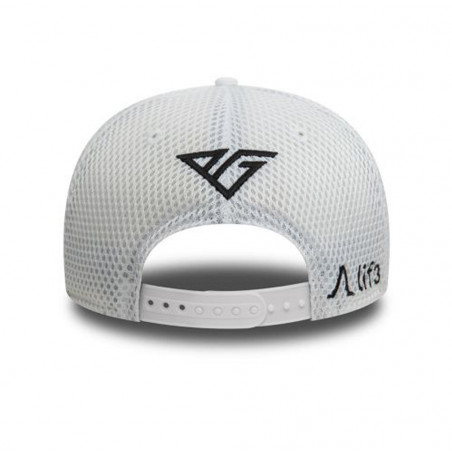 OFFICIAL Team Alpine Cap